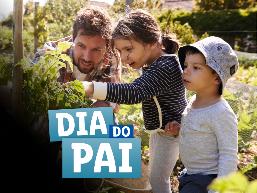 Lidl Portugal Lidl Pt